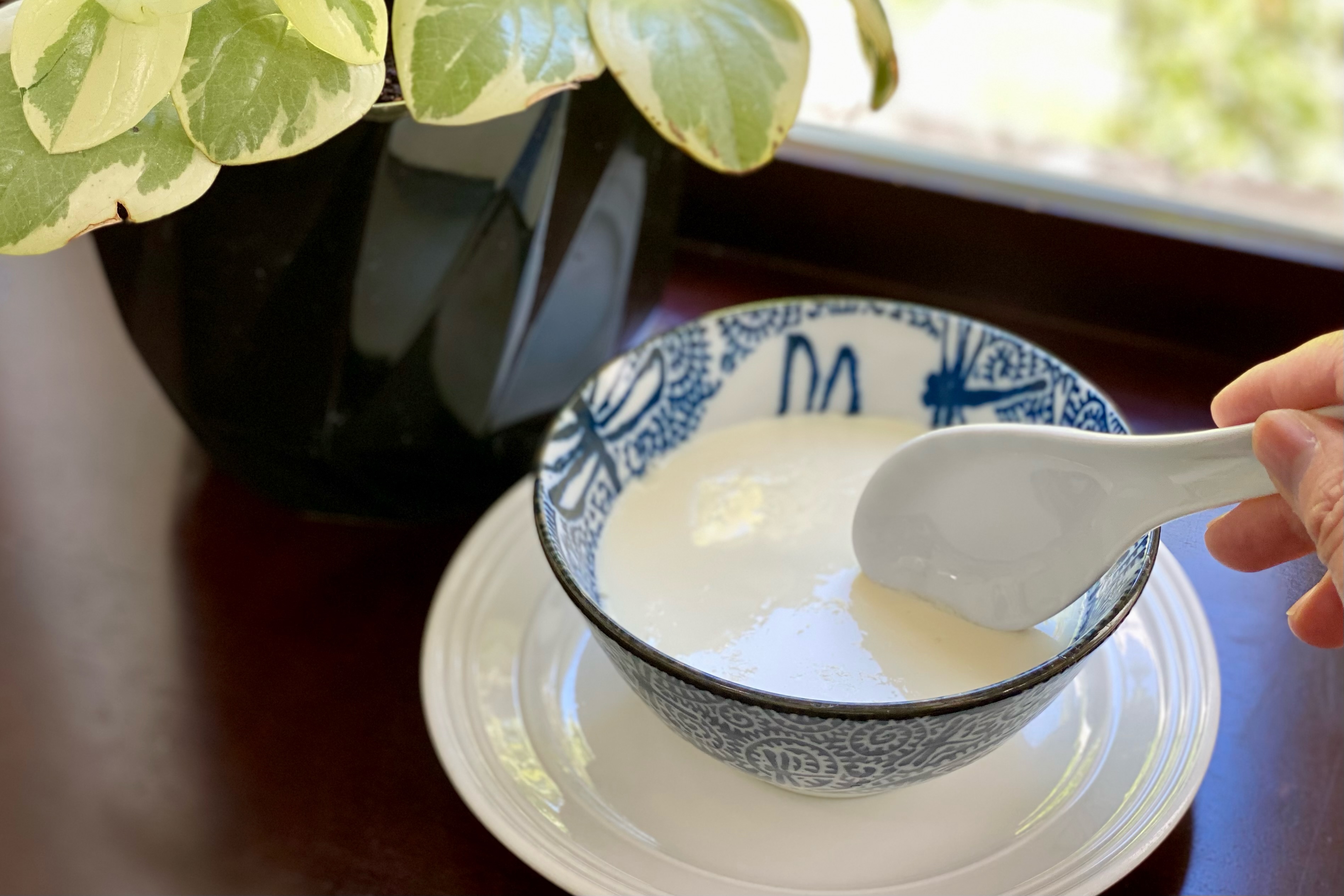 Dessert de lait caillé au gingembre | Plaisirs laitiers