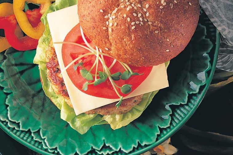 Rouelles de dinde hachée | Plaisirs laitiers