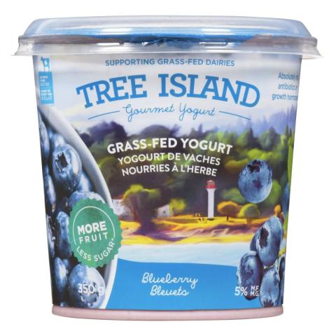 Tree Island Gourmet Yogurt Yogourt bleuets nourries à l'herbe 5% M.G ...