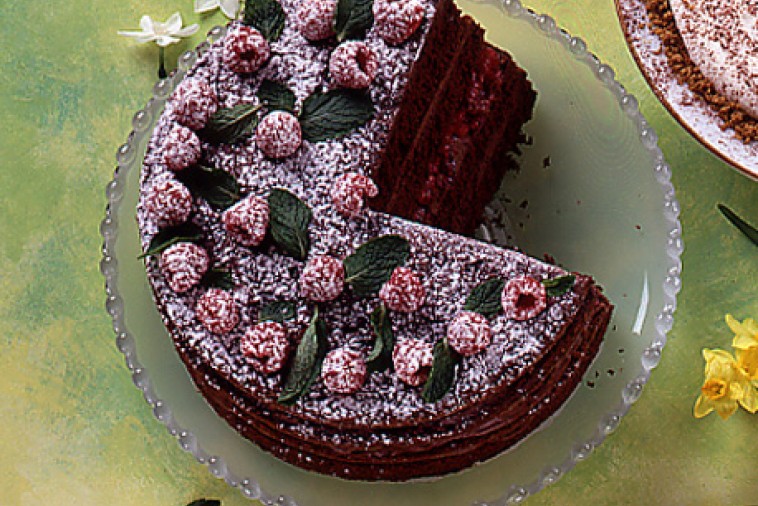 Gâteau au chocolat et à la framboise | Plaisirs laitiers