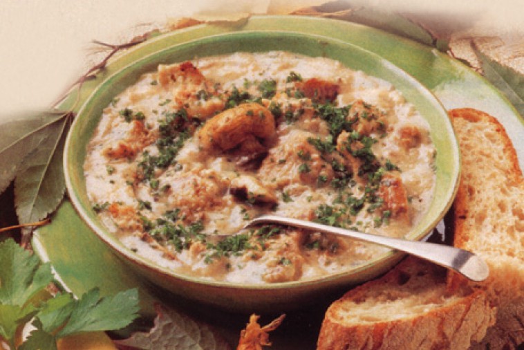 Ragoût de veau aux champignons | Plaisirs laitiers